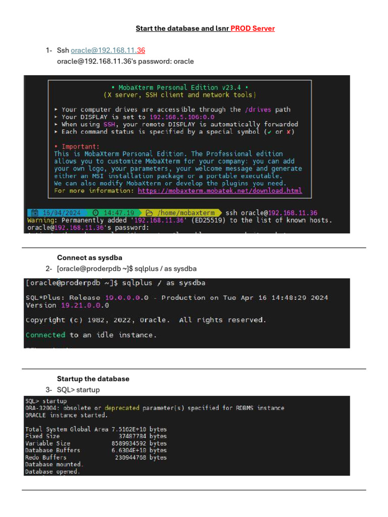 Start The Database and LSNR PROD Server | PDF
