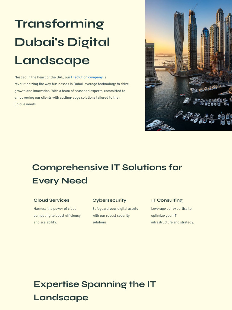 IT Solution Company in Dubai | PDF | Computer Security | Security
