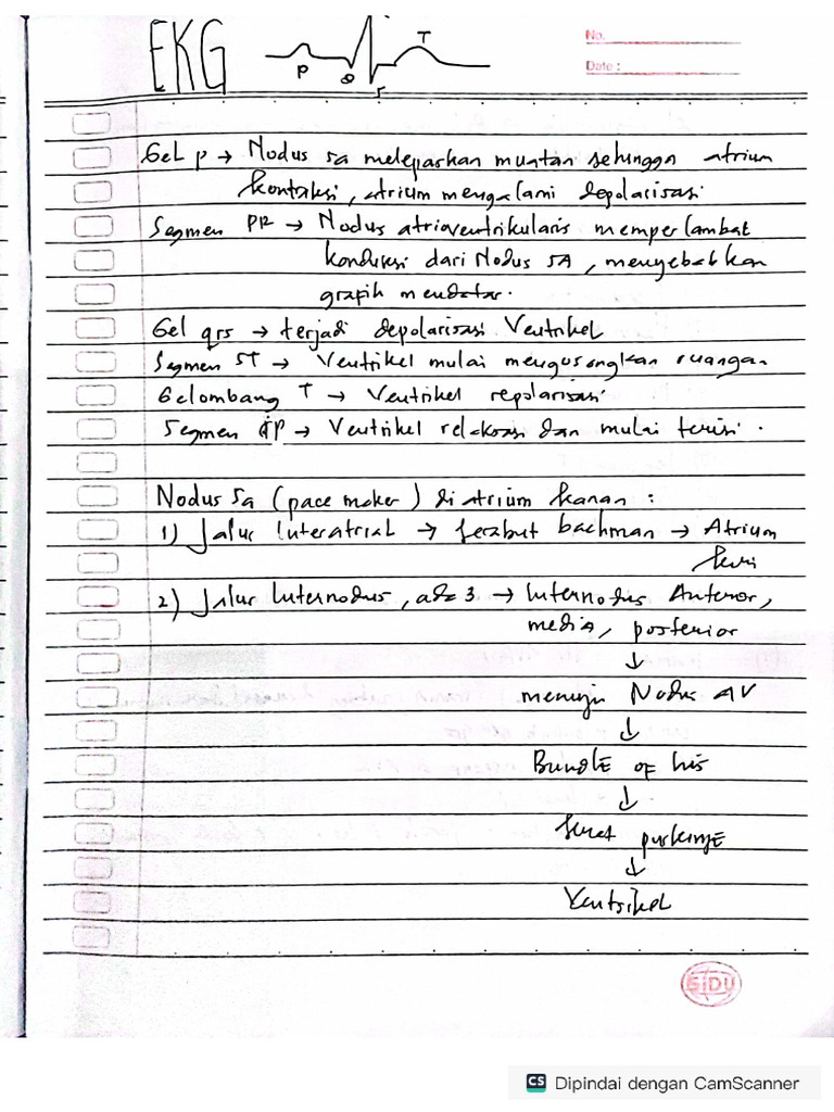Catatan Baca EKG | PDF
