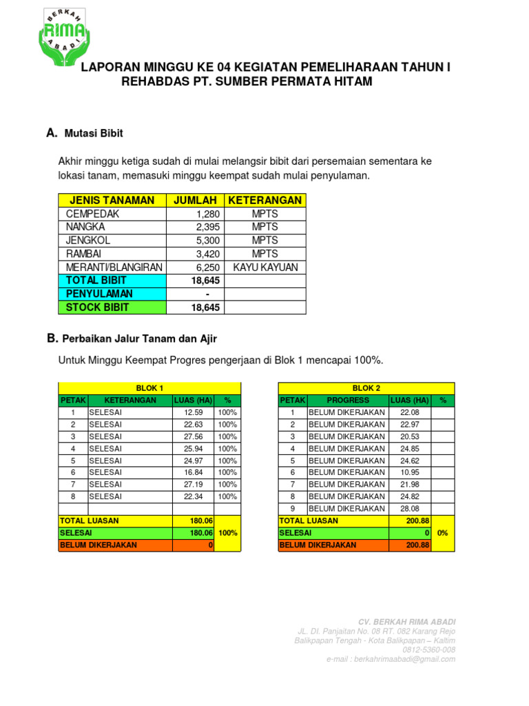 Laporan Minggu Ke-4 | PDF