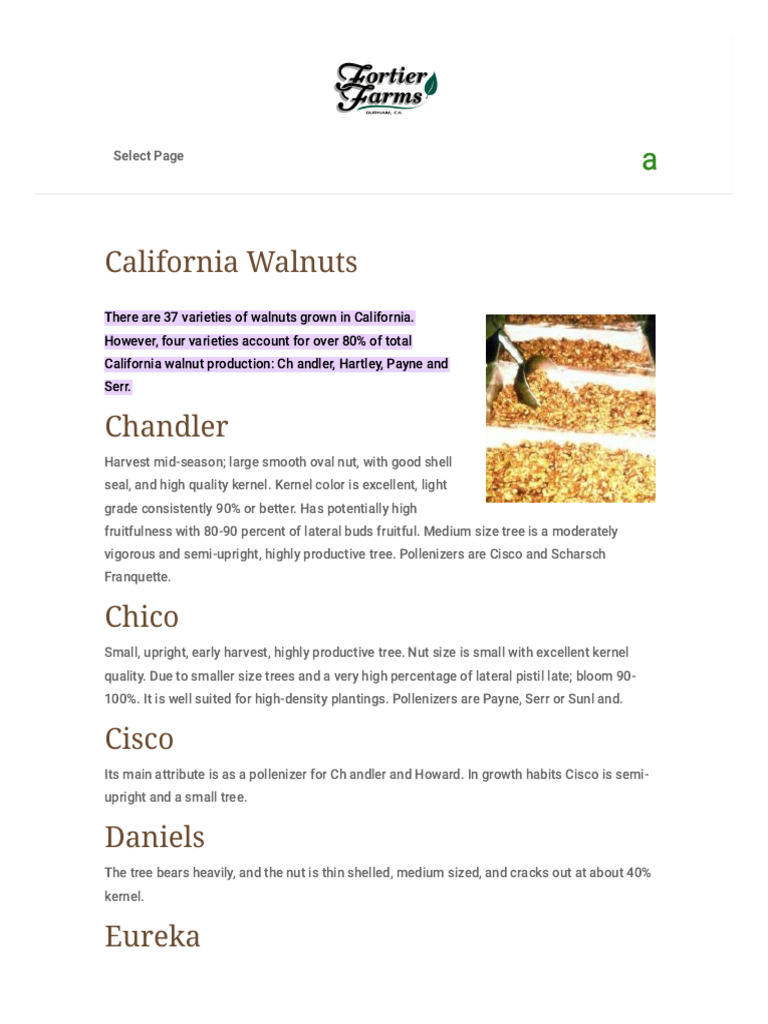 California Walnut Varieties Overview | PDF | Walnut | Trees