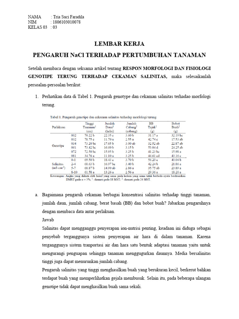 Lembar Kerja Cekaman Salinitas Terhadap Morfologi Dan Fisiologi | PDF