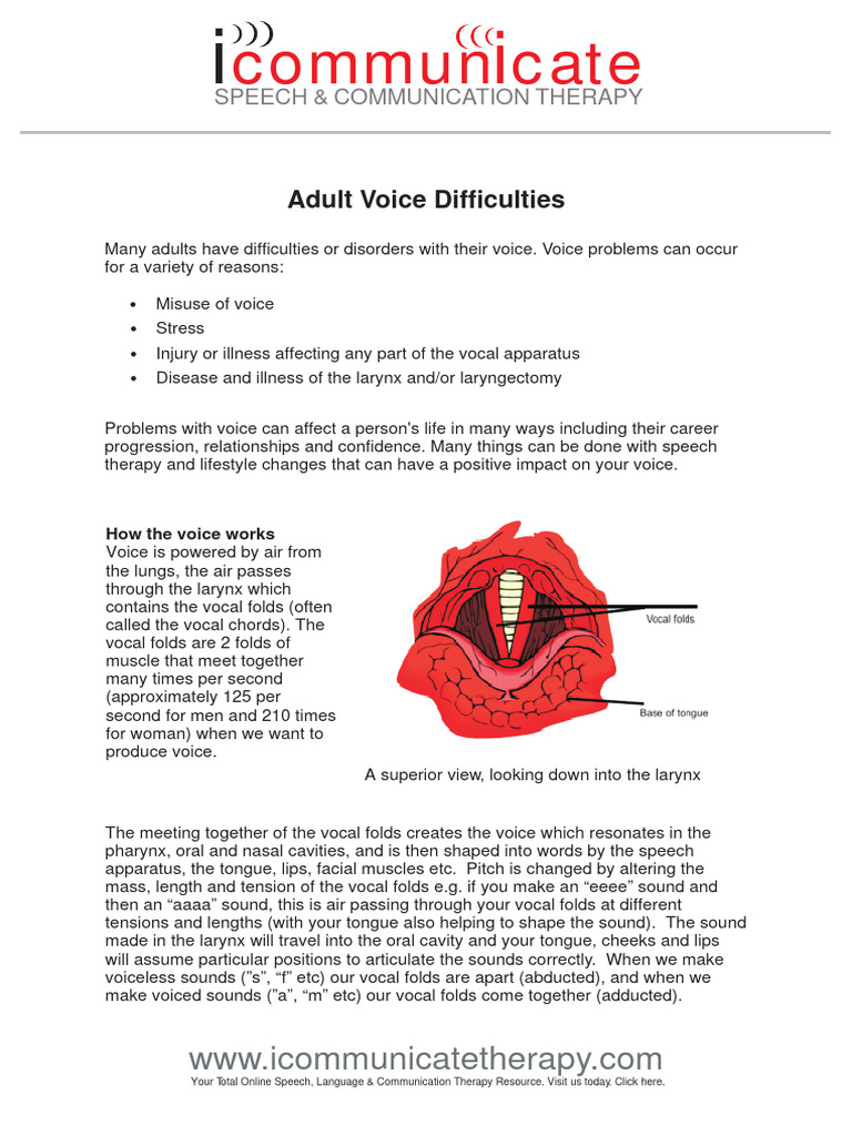 Adult Voice V11 | PDF | Human Voice | Larynx