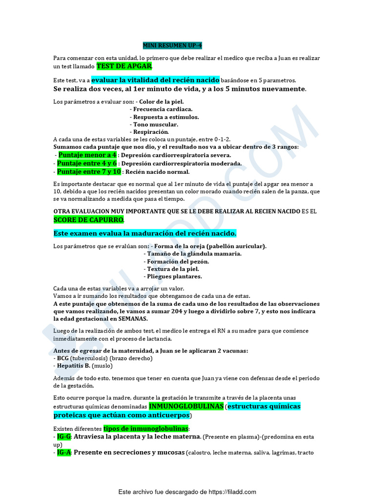 MINI RESUMEN UP-4 cyd | PDF | Neurona | Sistema nervioso
