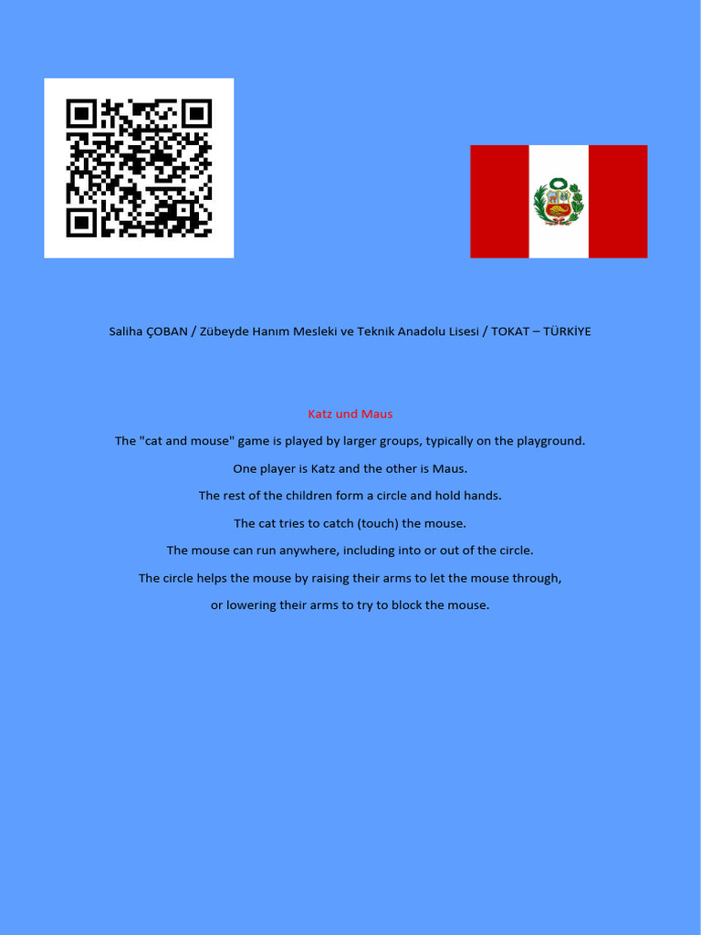 Cat and Mouse Game Instructions | PDF | Self-Improvement | Young Adult