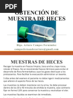 Baciloscopia BK Esputo | PDF | Tos | Laboratorios