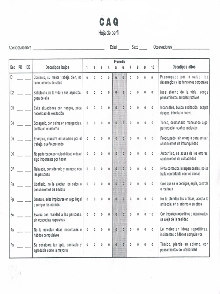 Hoja de Perfil CAQ | PDF
