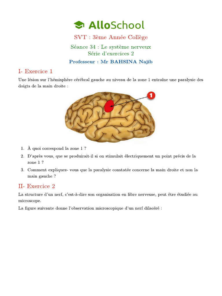 seance-34-le-systeme-nerveux-serie-d-exercices-2 | PDF