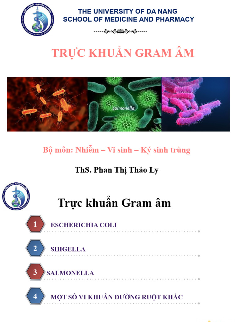 Trực Khuẩn Gram Âm - Ths. Phan Thị Thảo Ly | PDF