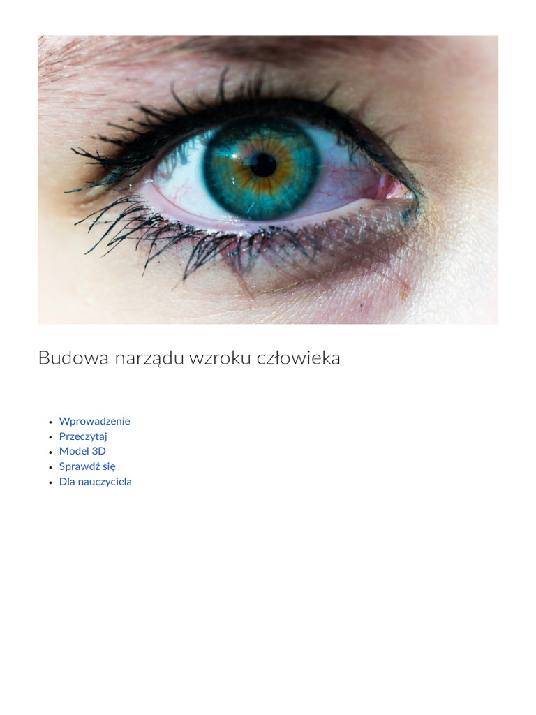 Budowa Narzadu Wzroku Czlowieka | PDF