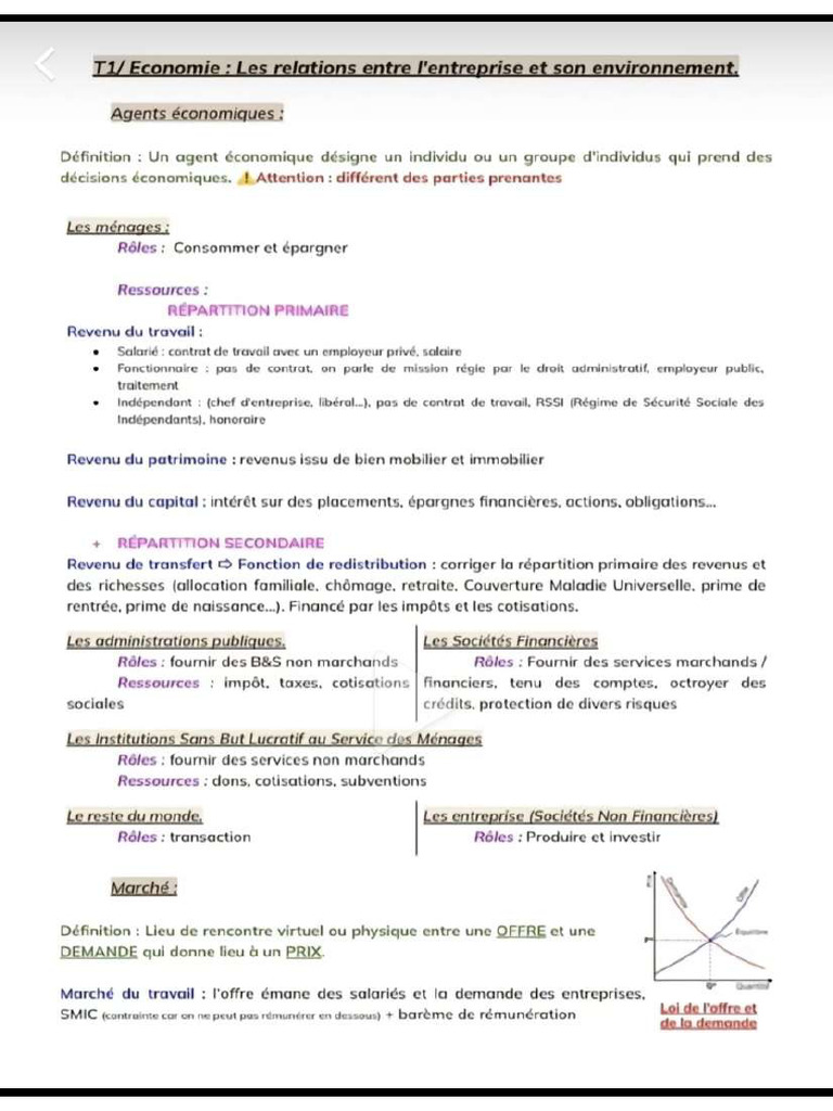 Fiches de Révision CEJM | PDF