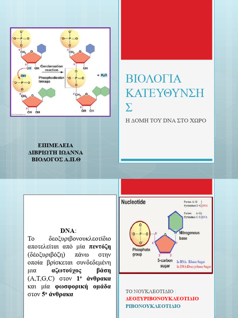 ΜΑΘΗΜΑ 2ο - Η δομή του DNA στο χώρο. | PDF