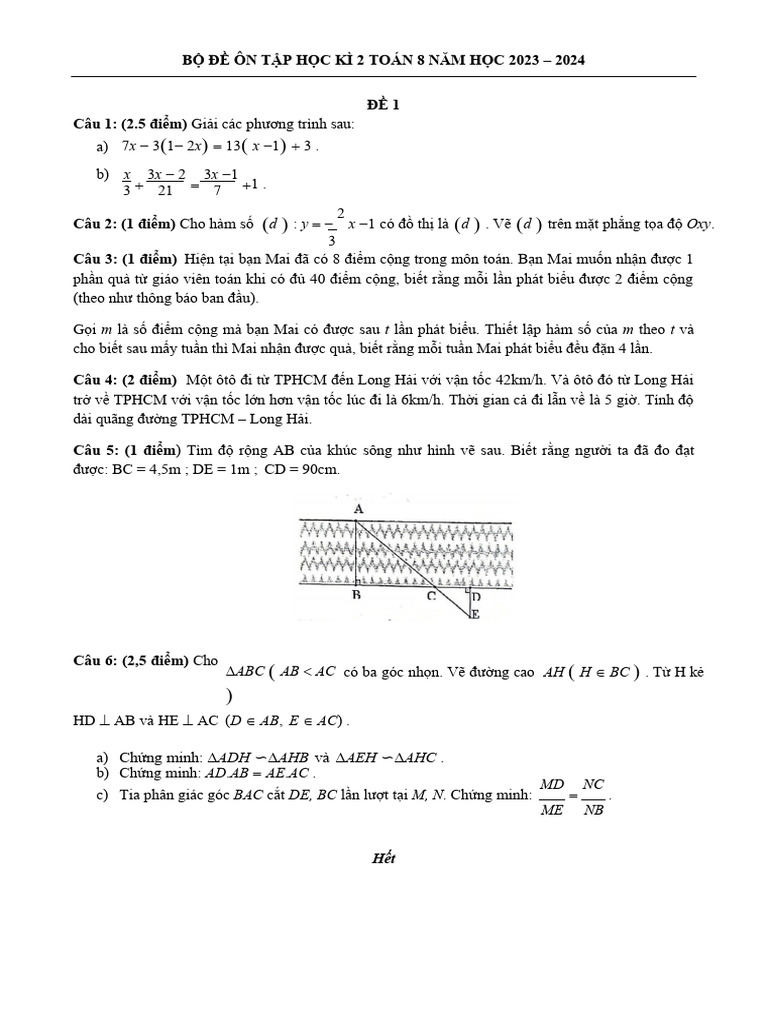 ĐỀ ÔN TOÁN 8 HK2 | PDF