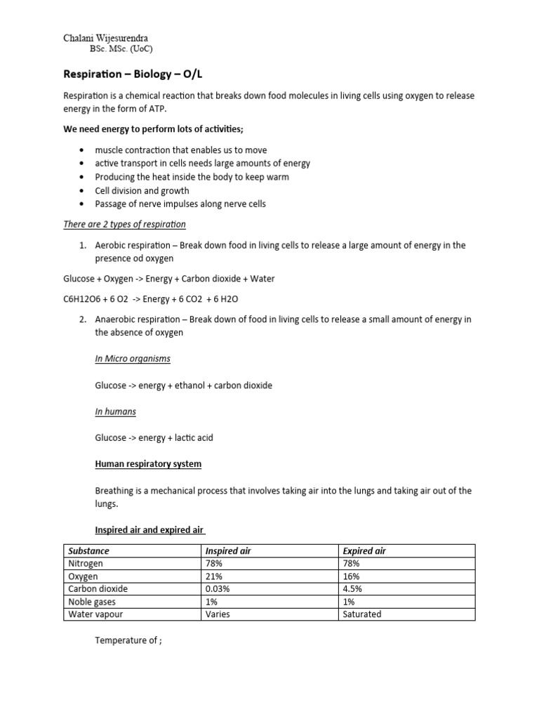 Overview of Human Respiration | PDF | Cellular Respiration | Breathing