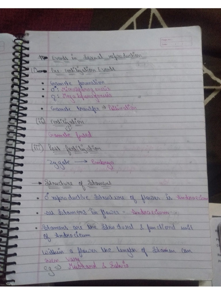 Image PW Notes | PDF