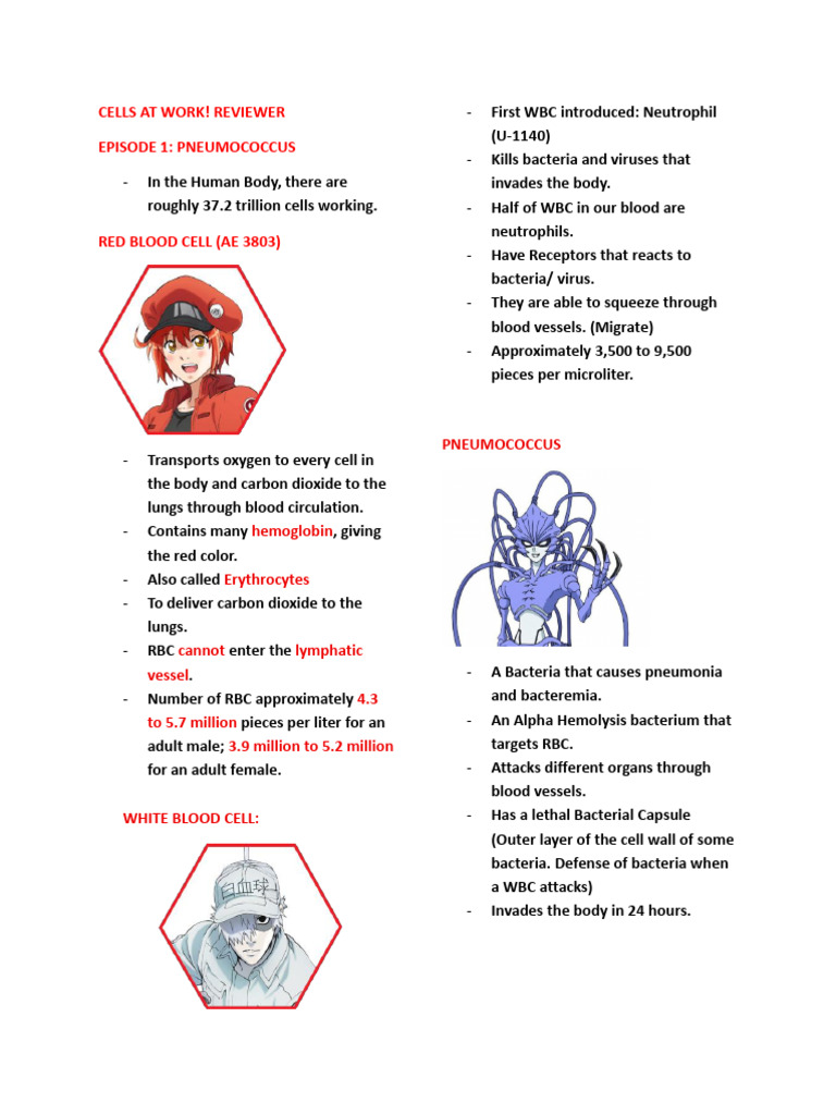 Cells at Work Reviewer | PDF | White Blood Cell | Coagulation