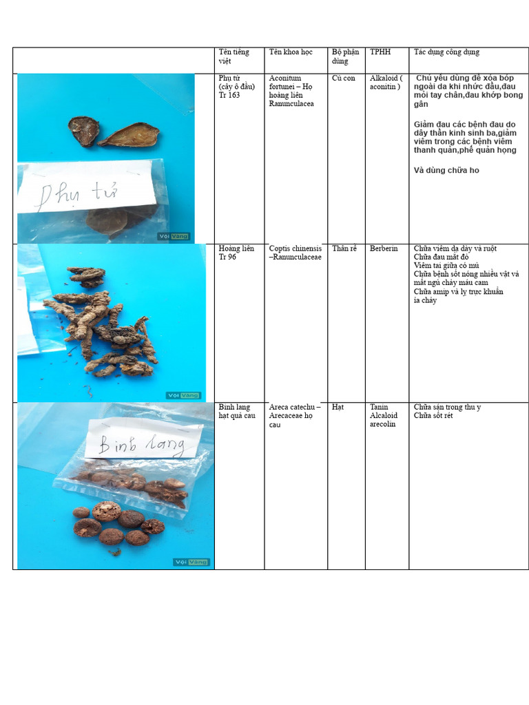 FILE 20231121 102731 dl2 | PDF