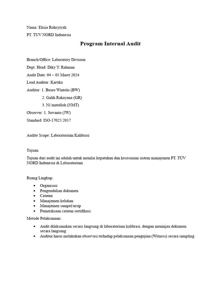 Program Audit Internal | PDF