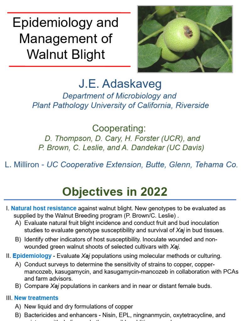 Adaskaveg Walnut Blight 2023 | PDF | Antimicrobial Resistance | Copper