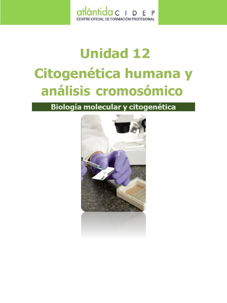UD12 | PDF | Cariotipo | Citogenética