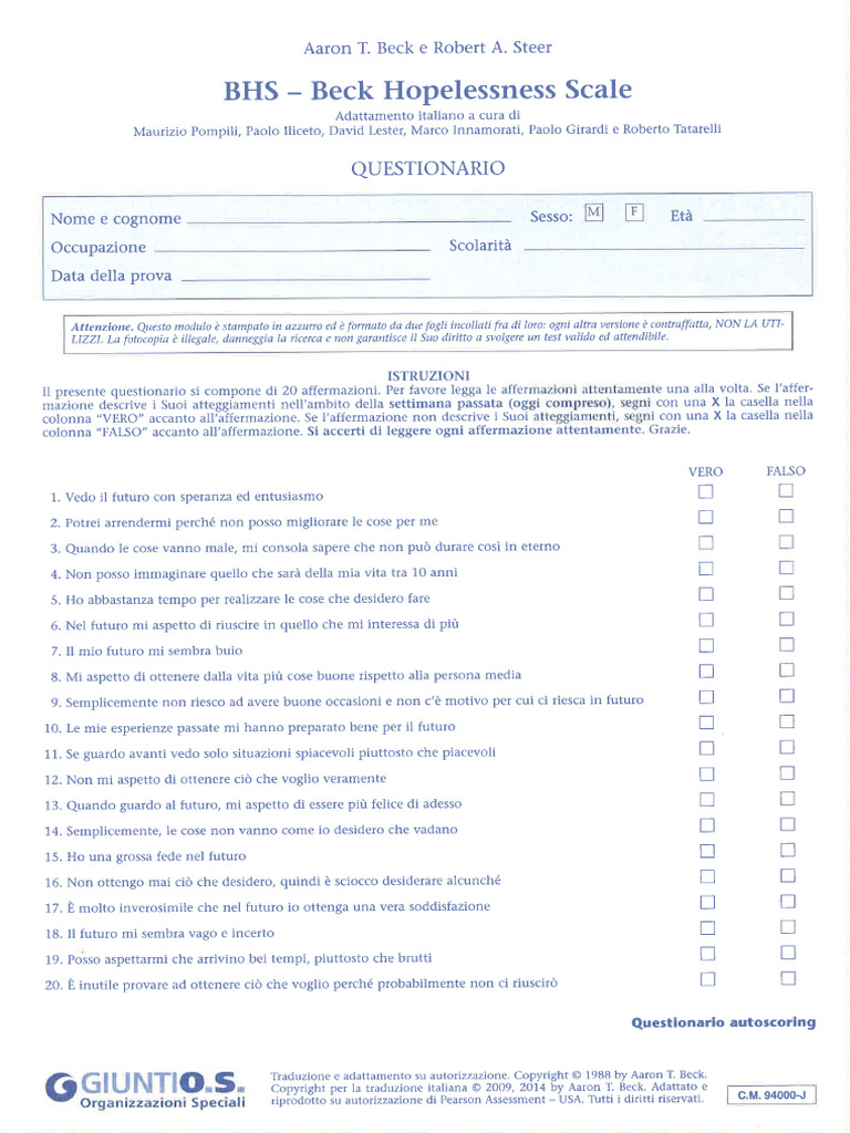 BHS Questionario | PDF