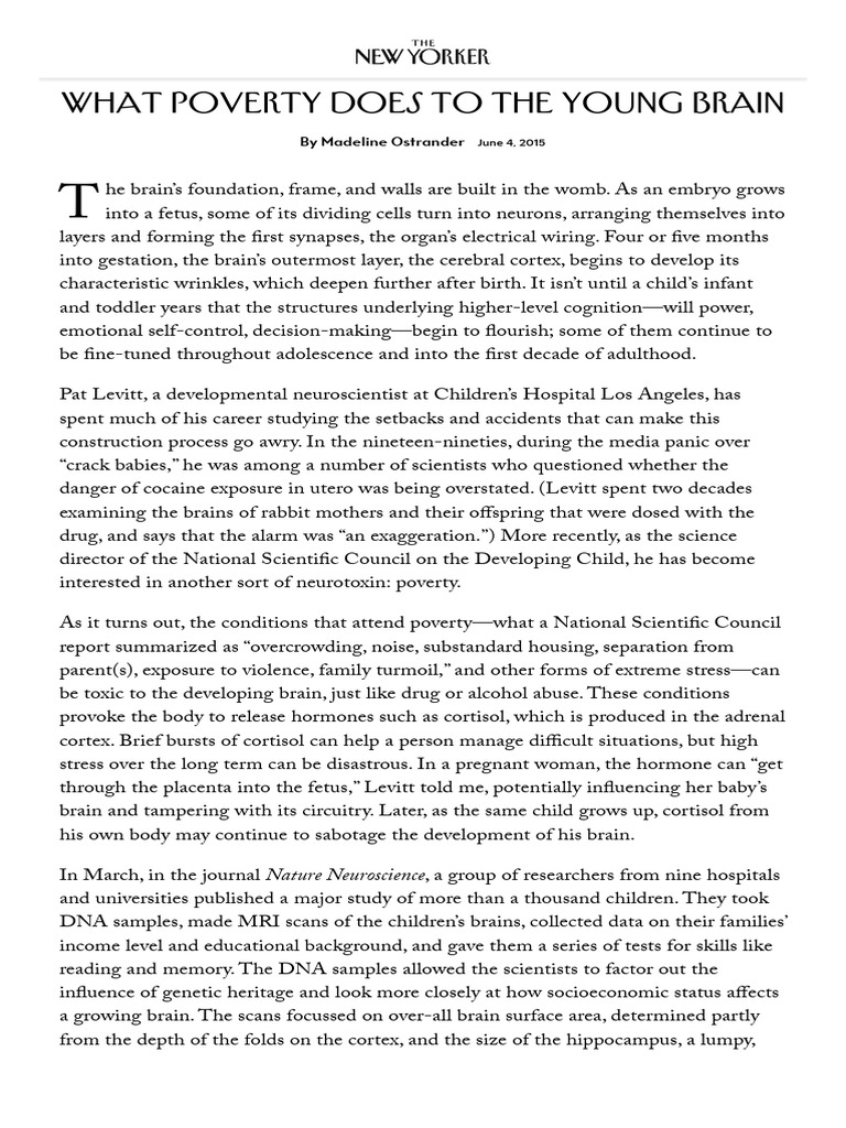 Impact of Poverty on Brain Development | PDF | Brain | Neuroscience