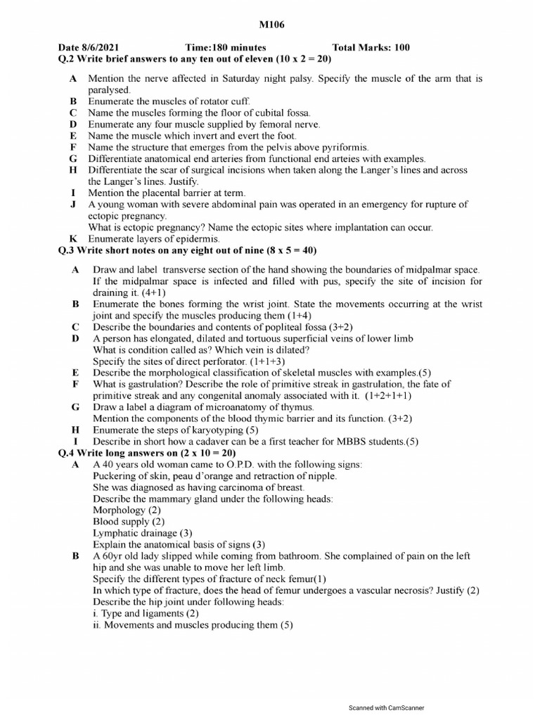 Anatomy All Exam Papers (Nair) | PDF