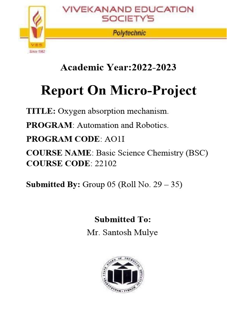 Chemistry Microproject Group 05. Oxygen Absorption Mechanism | PDF | Corrosion | Iron