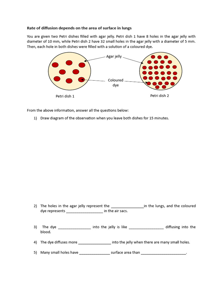 Science L8 1. 2 Worksheet (TLaS PG 15 and PG 17) | PDF