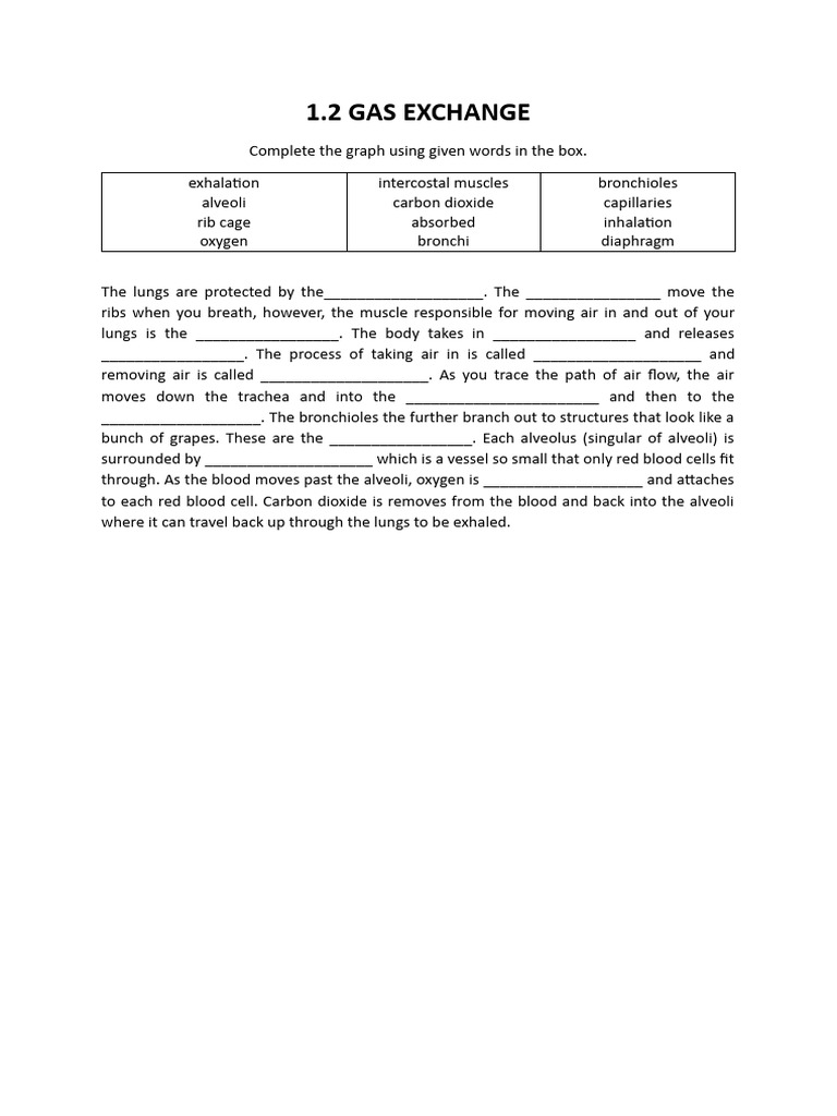 Science L8 1,2 Worksheet | PDF | Lung | Respiratory System