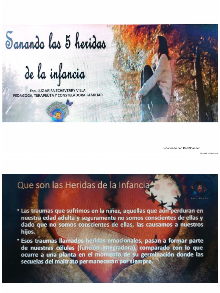 Sanando Las 5 Heridas De La Infancia Pdf