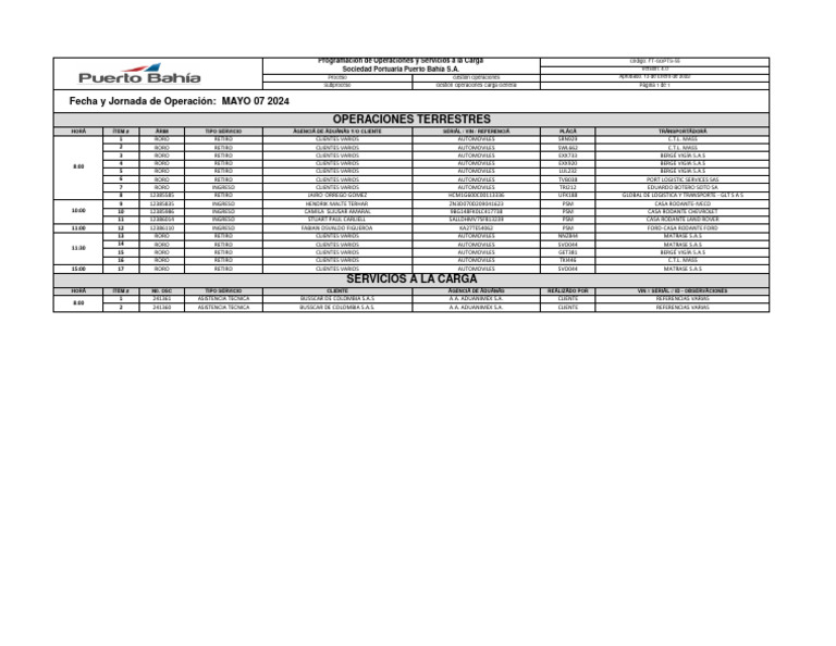 FT-GOPTS-55 Programacion Diaria Carga General MAYO 07-2024 | PDF