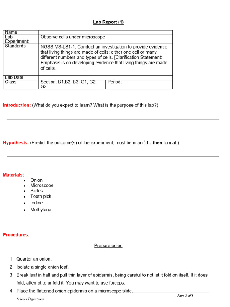 Lab Report Grade 6 | PDF | Cell (Biology) | Staining