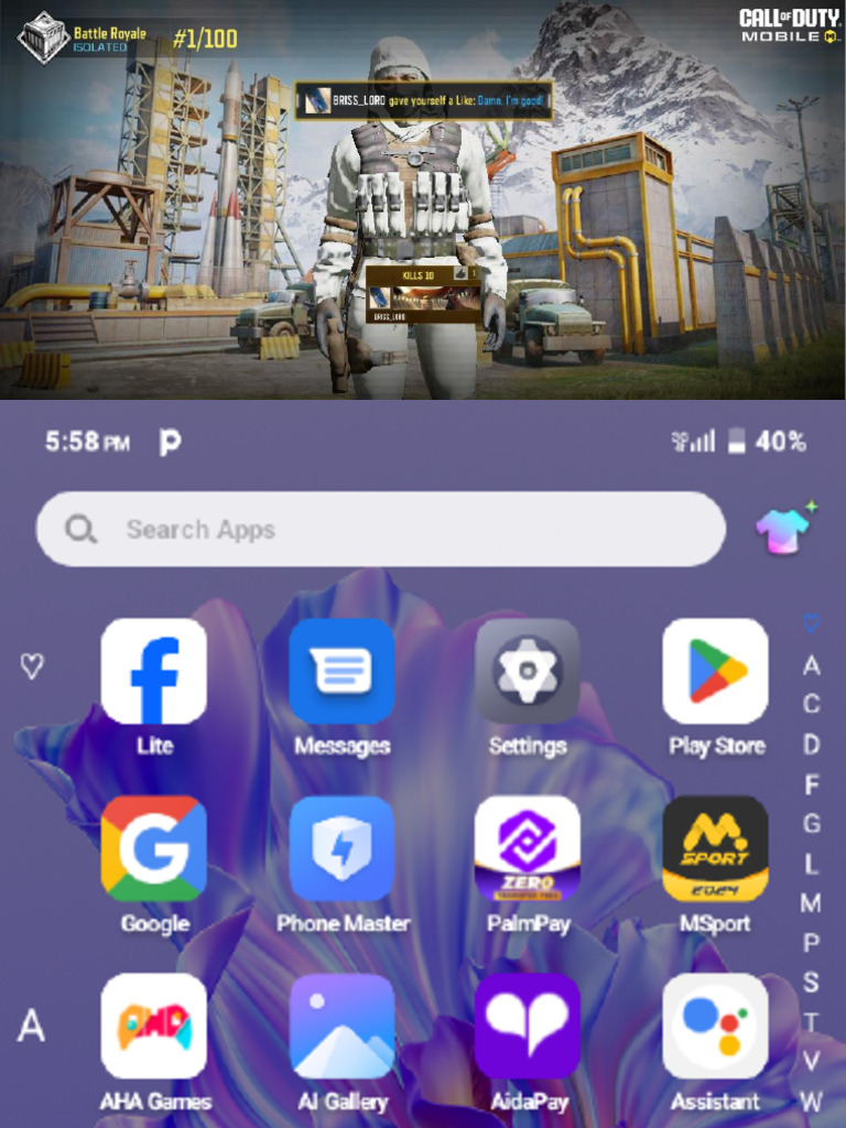 PDF Phoenix 20240511 | PDF