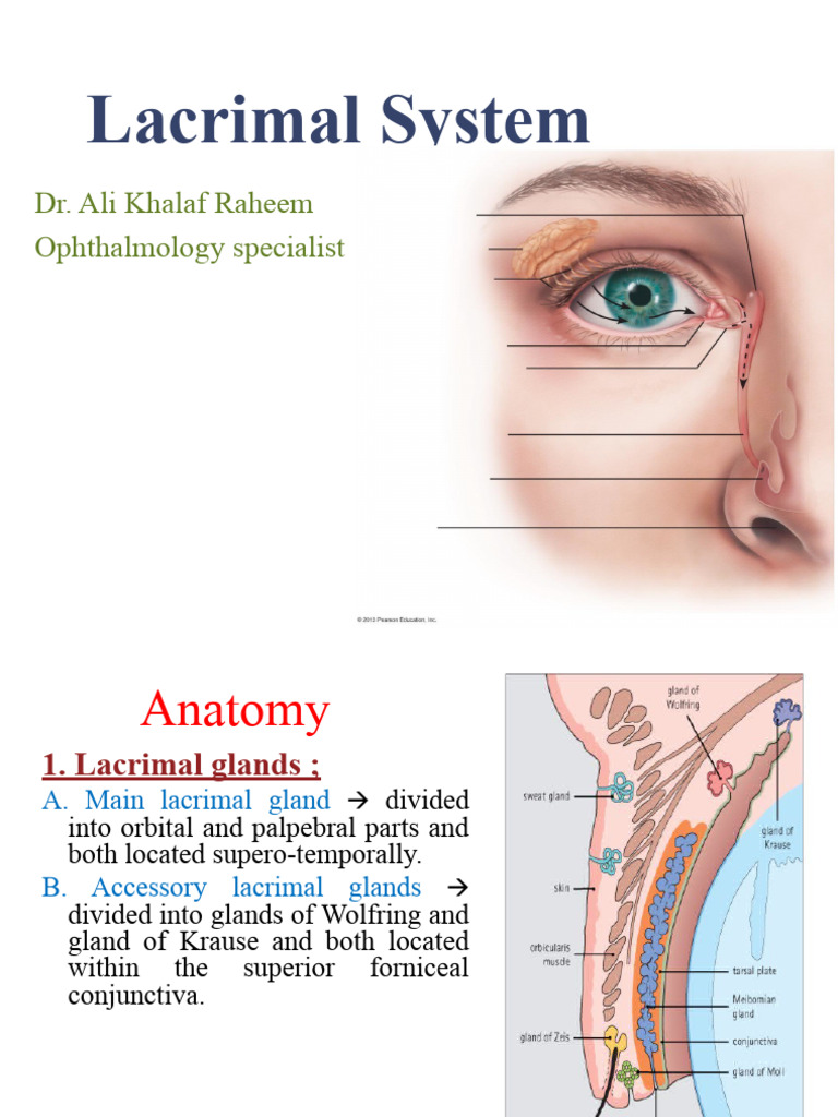 Lacrimal System 1 | PDF | Clinical Medicine | Medical Specialties