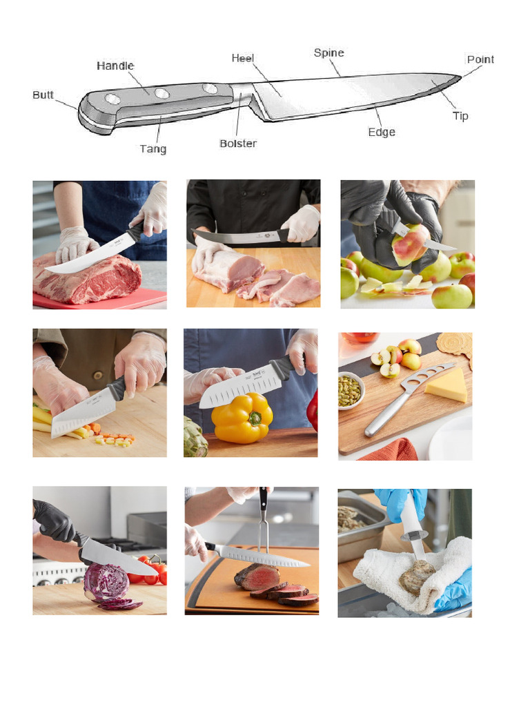 Types of Kitchen Knife | PDF
