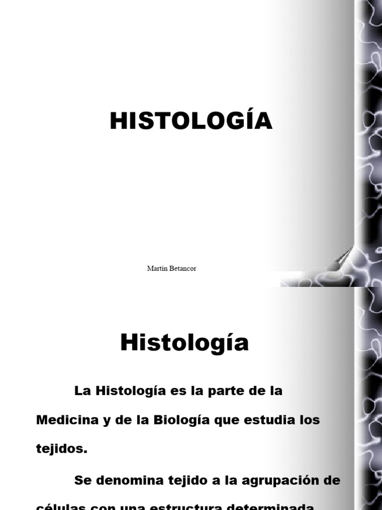 06 Tejidos A | PDF | Músculo | Hueso