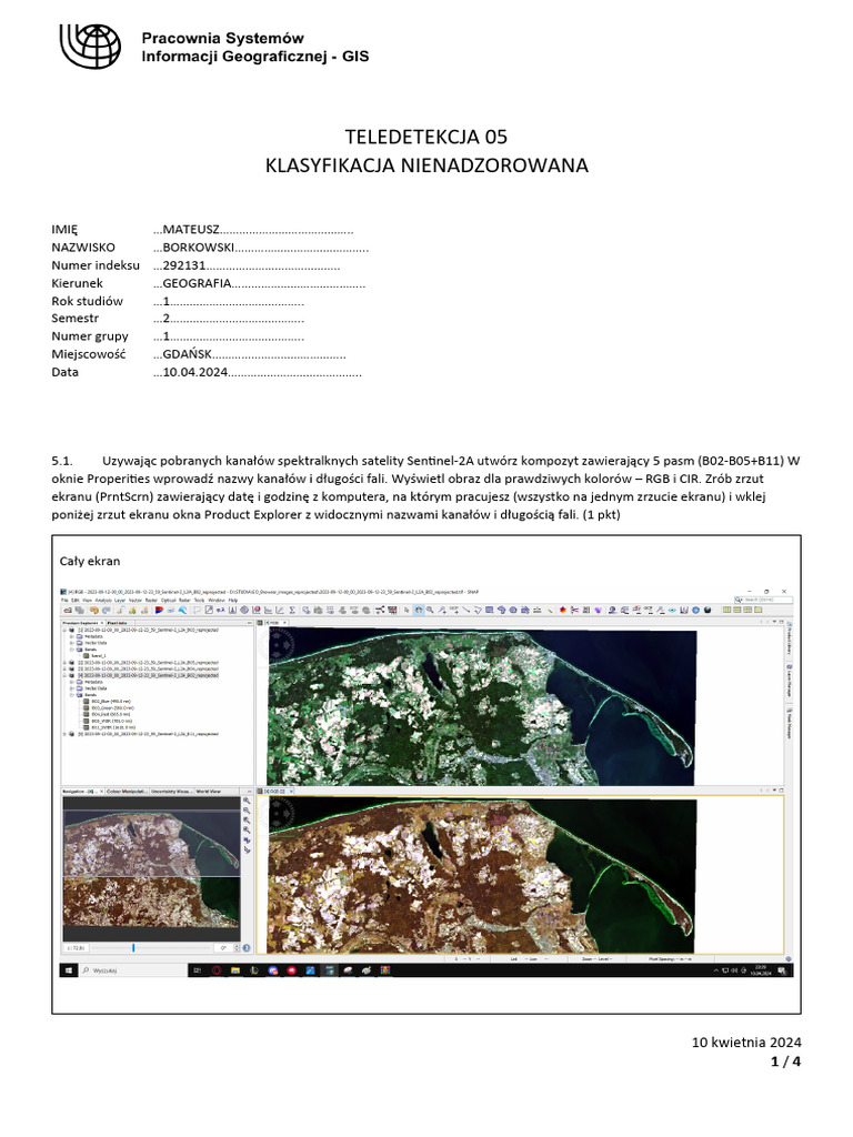 TEL05 Klasyfikacja Nienadzorowana Karta Pracy BORKOWSKI | PDF