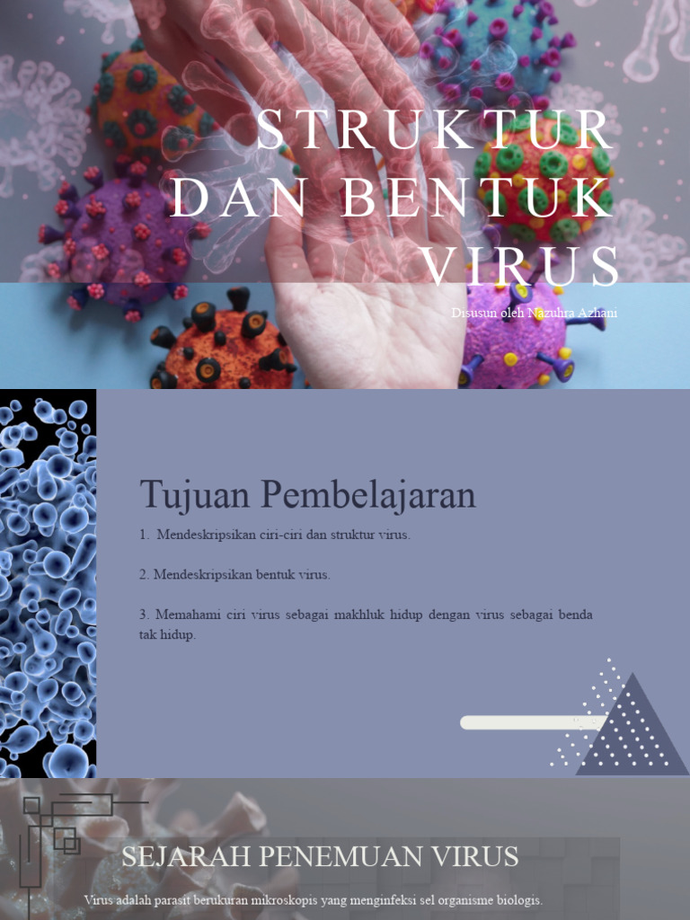 PPT VIRUS | PDF