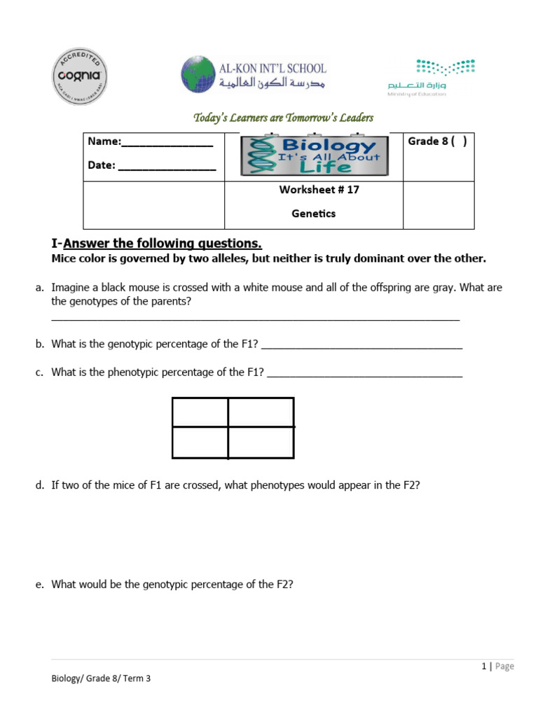 Genetics Practice Worksheet for Grade 8 | PDF | Genotype | Dominance ...