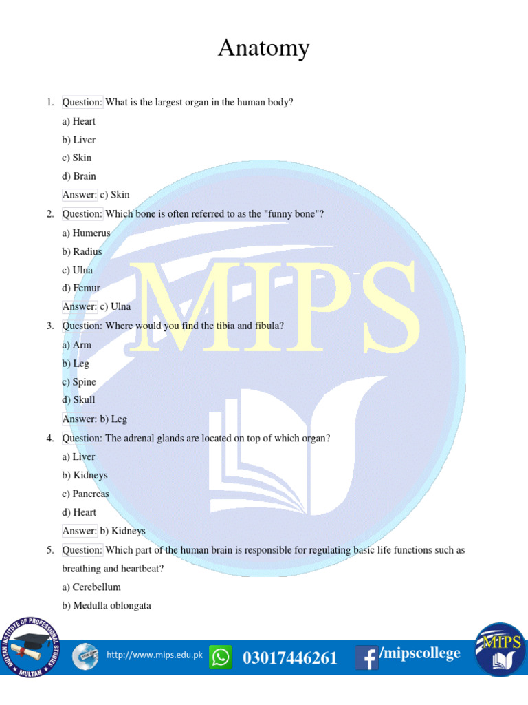 Anatomy Multiple Choice Question Answer | PDF | Anatomical Terms Of ... Anatomy Multiple Choice Question Answer | PDF | Anatomical Terms Of ...