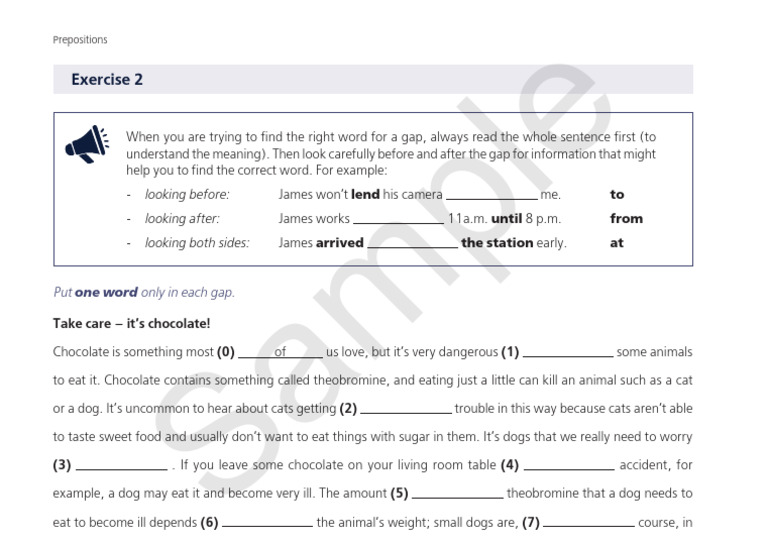 b1 Sample Prepositions | PDF | Preposition And Postposition | Chocolate