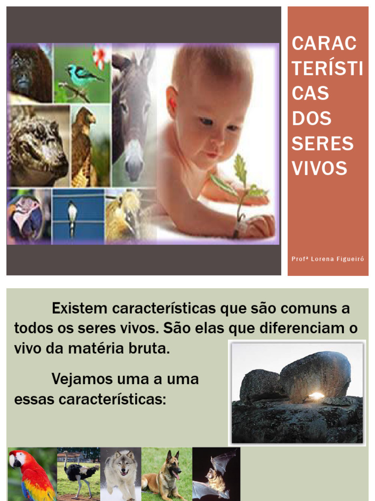 Características Dos Seres Vivos | PDF | Metabolismo | Célula (Biologia)