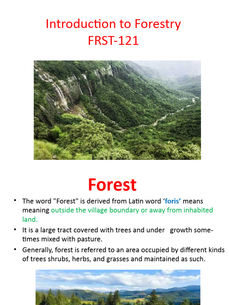 Lecture1frst121 200528050903 | PDF | Forests | Forestry