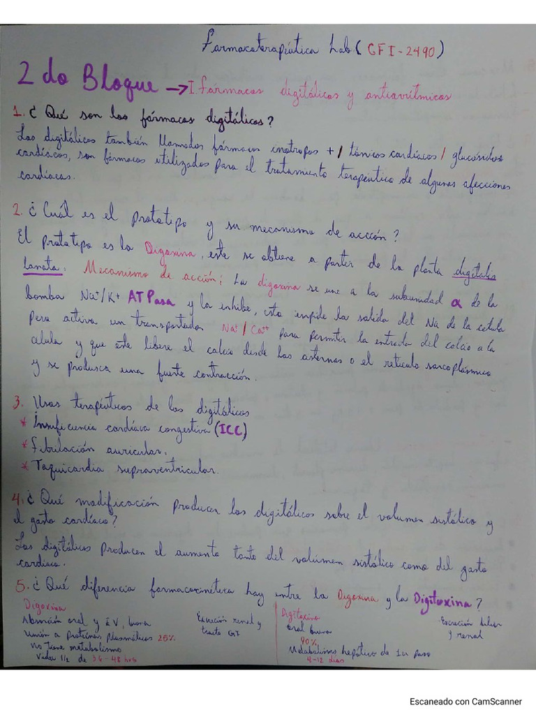Segundo Bloque De Tareas Pdf