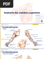 Anatomia Da Perna | PDF | Pé | Anatomia dos membros inferiores