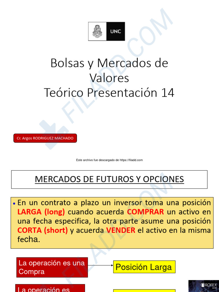 Presentacion Bolsas 14 2021 | PDF | Opción (Finanzas) | Valores (Finanzas)