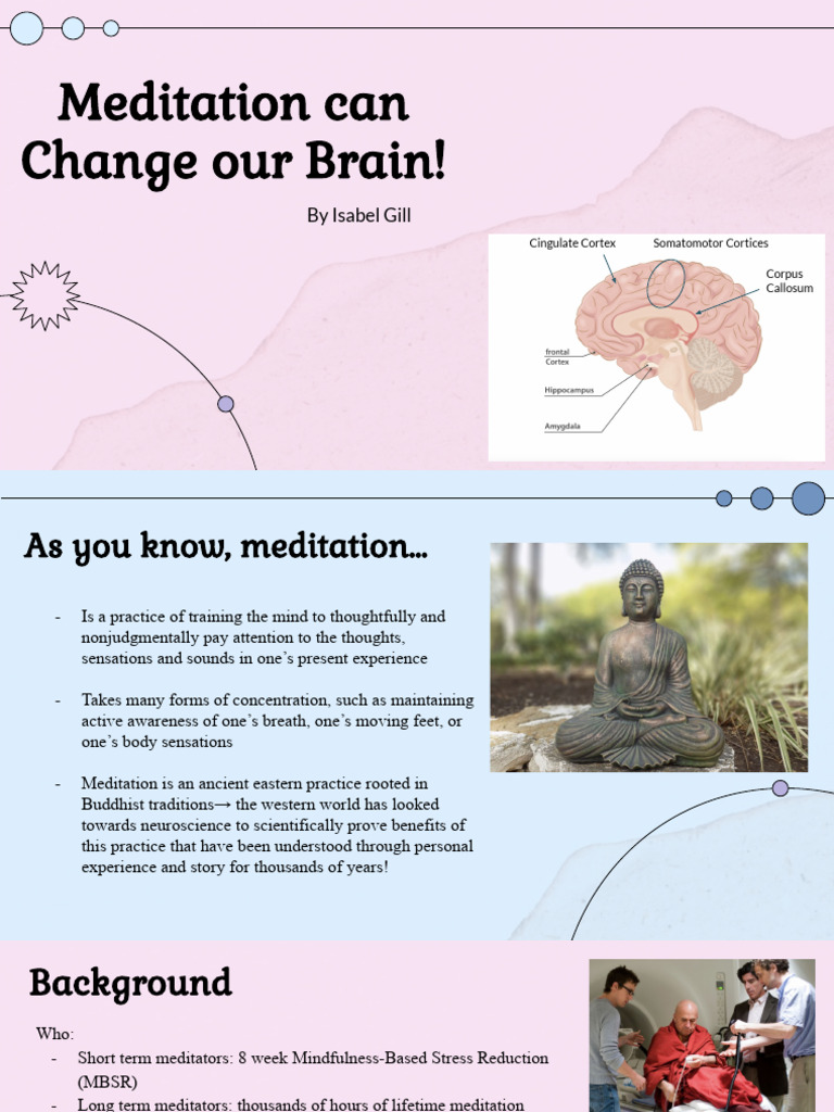 Scribd Meditation and The Brain | PDF | Neuroplasticity | Somatosensory ...