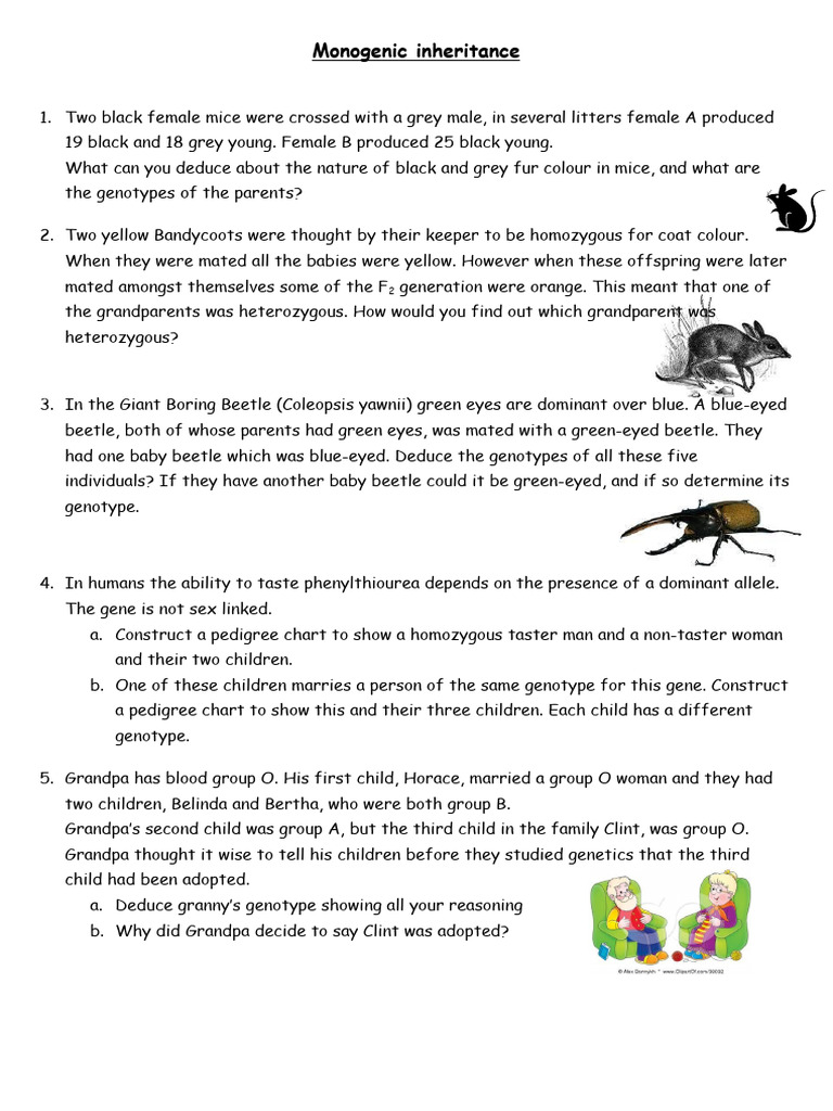 Genetic Problems Pdf Dominance Genetics Genotype