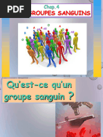 Le Globule Rouge | PDF | Globule rouge | Membrane cellulaire